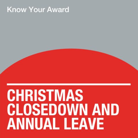 Christmas closedowns and annual leave | ACA - Association of Consulting ...
